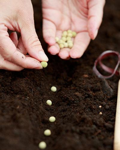 Verkooppunt | De Baerdemaeker